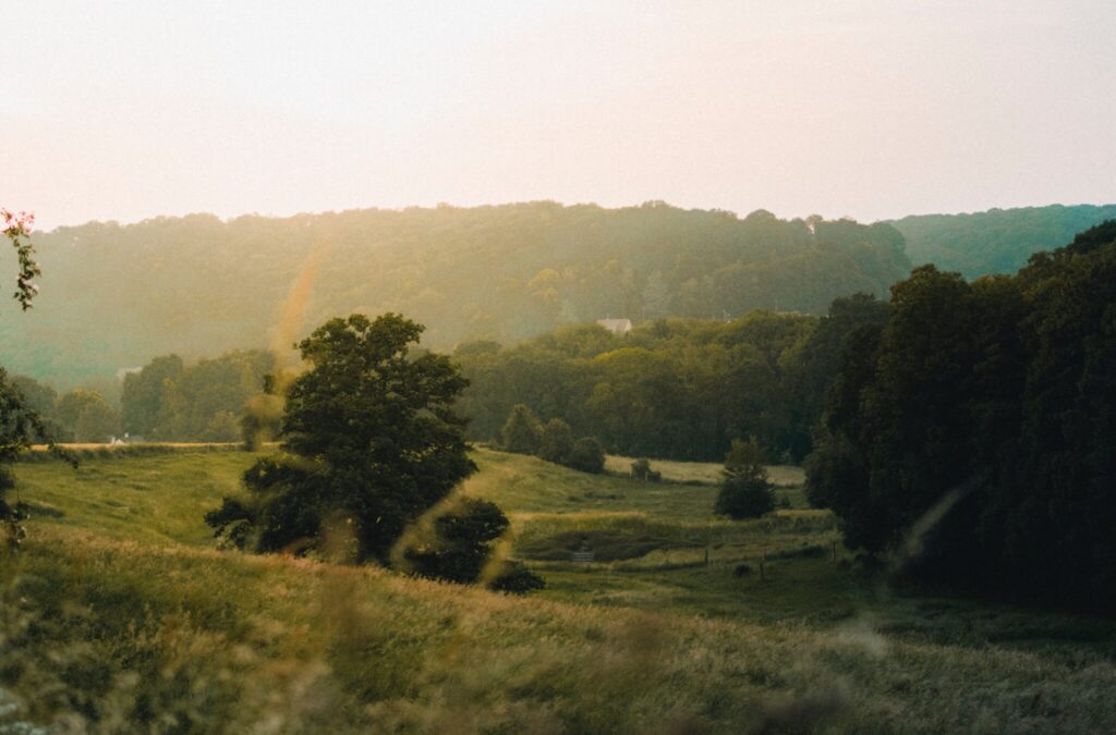 Green Futures Report 2021 - Rural Policy Group